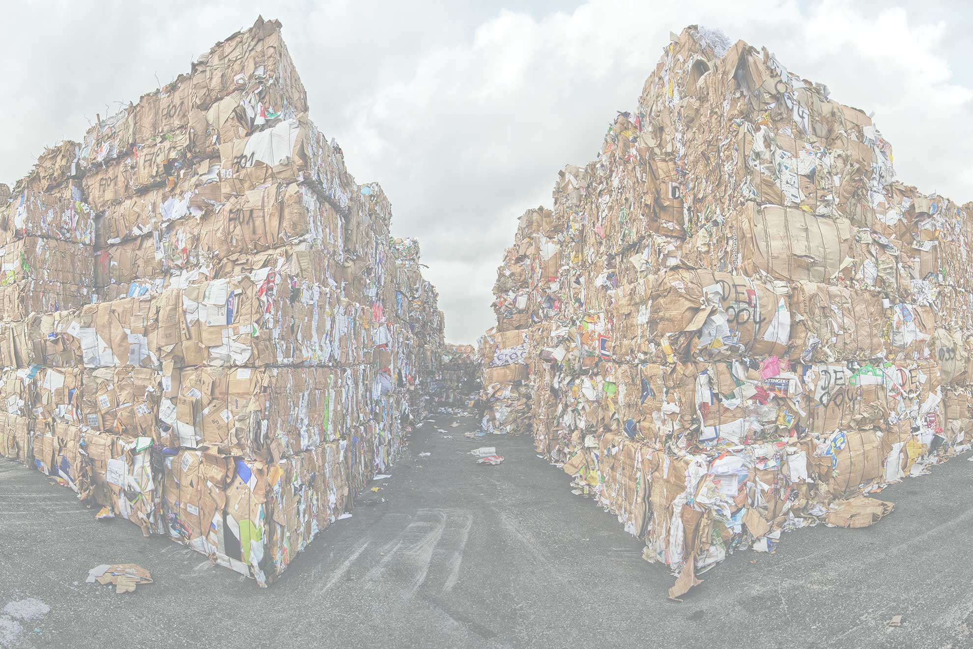 The Essential Role of Poplar in Commercial Waste Management